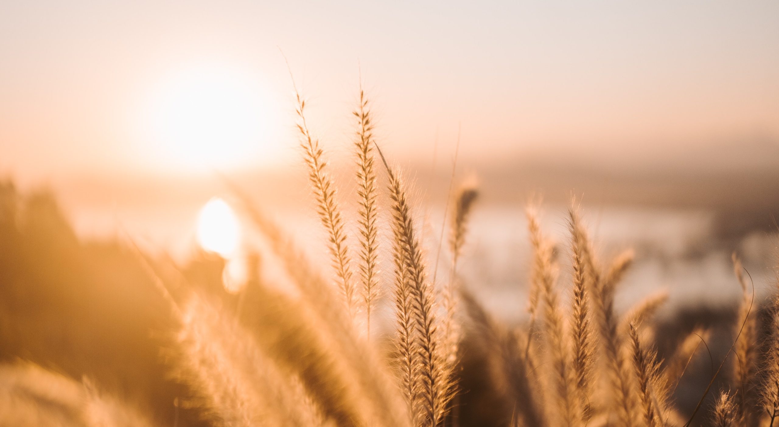 Brotherhood Mutual Insurance - Venture Church Network